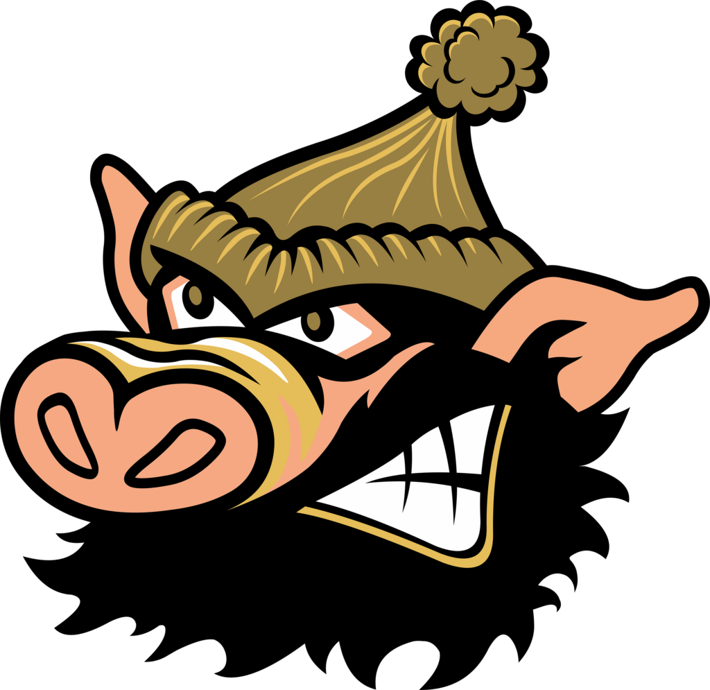 Tupper Lake Riverpigs – An Official Minor League Affiliate of the MLB ...