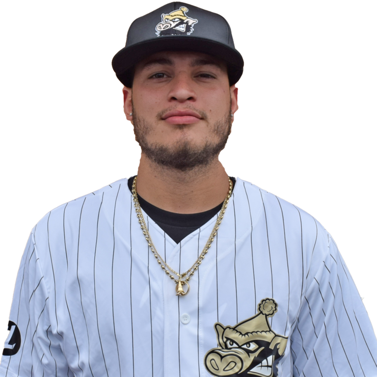 Tupper Lake Riverpigs – Official Site of The Tupper Lake Riverpigs