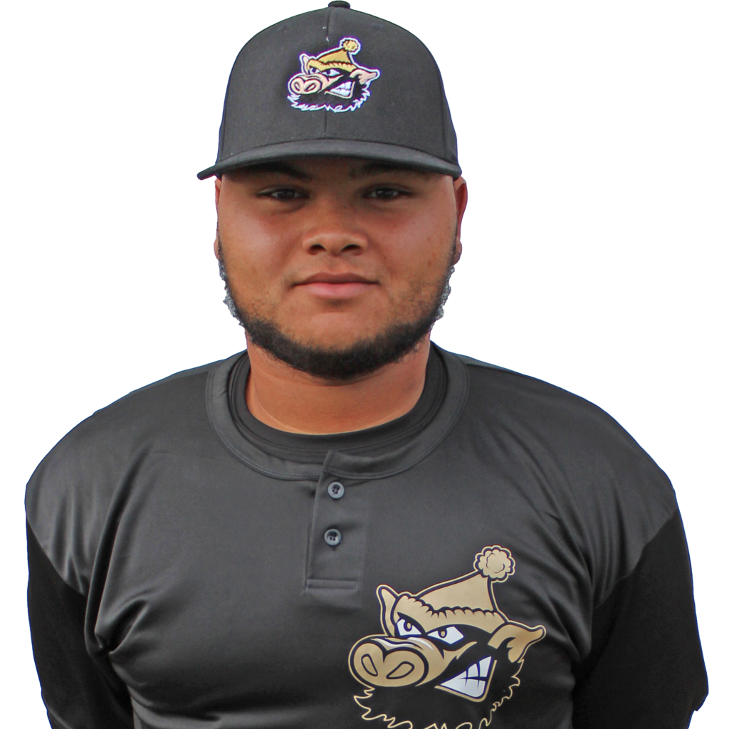 Official Site of The Tupper Lake Riverpigs – Professional Baseball club ...