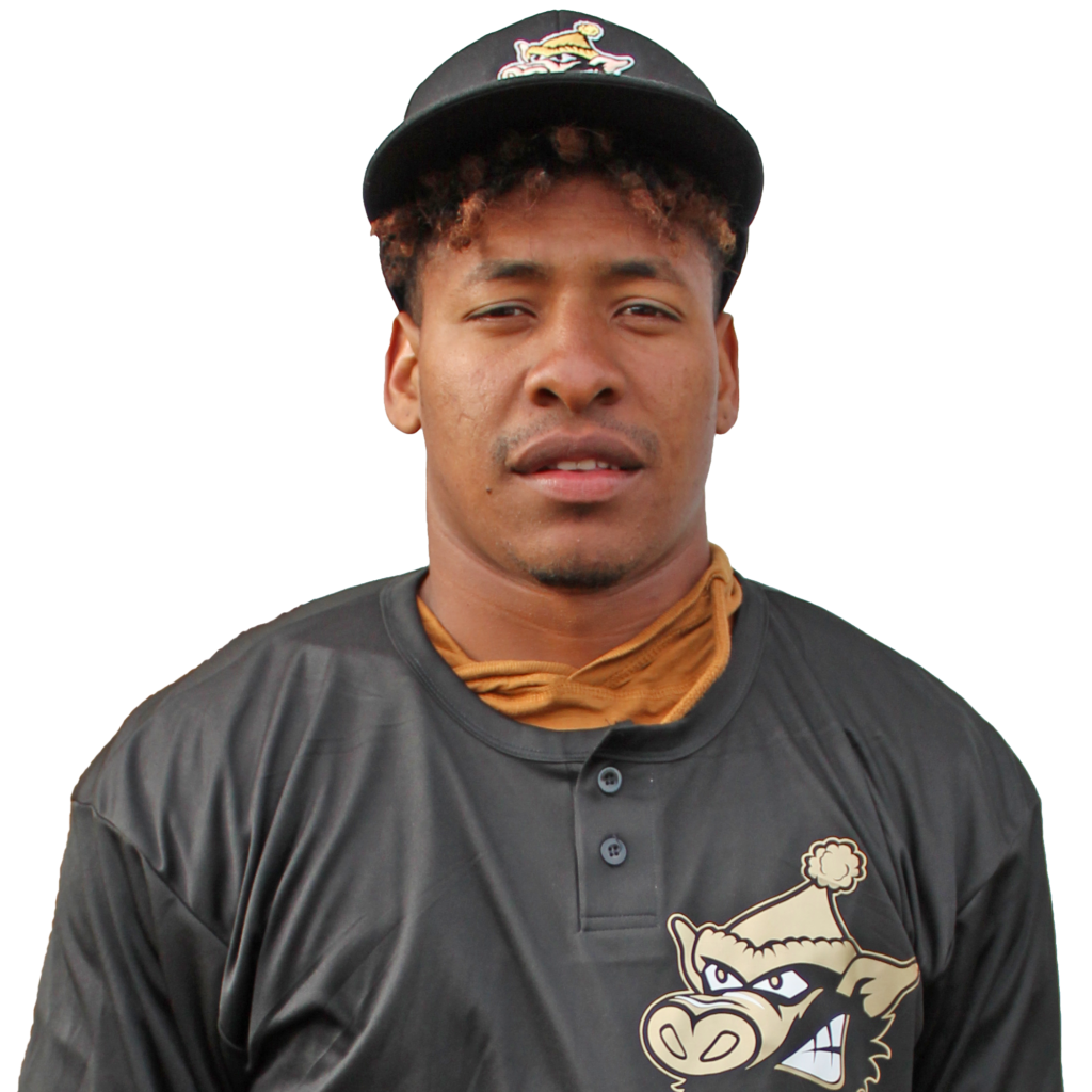 Official Site of The Tupper Lake Riverpigs – Professional Baseball club ...