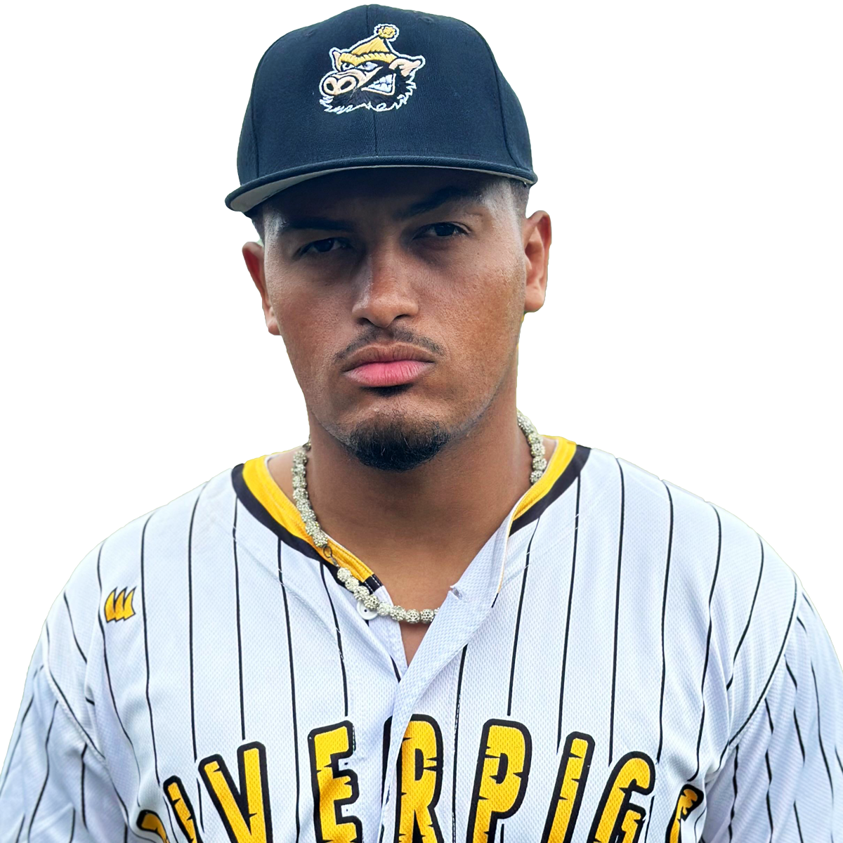 2024 Riverpigs Roster – Tupper Lake Riverpigs